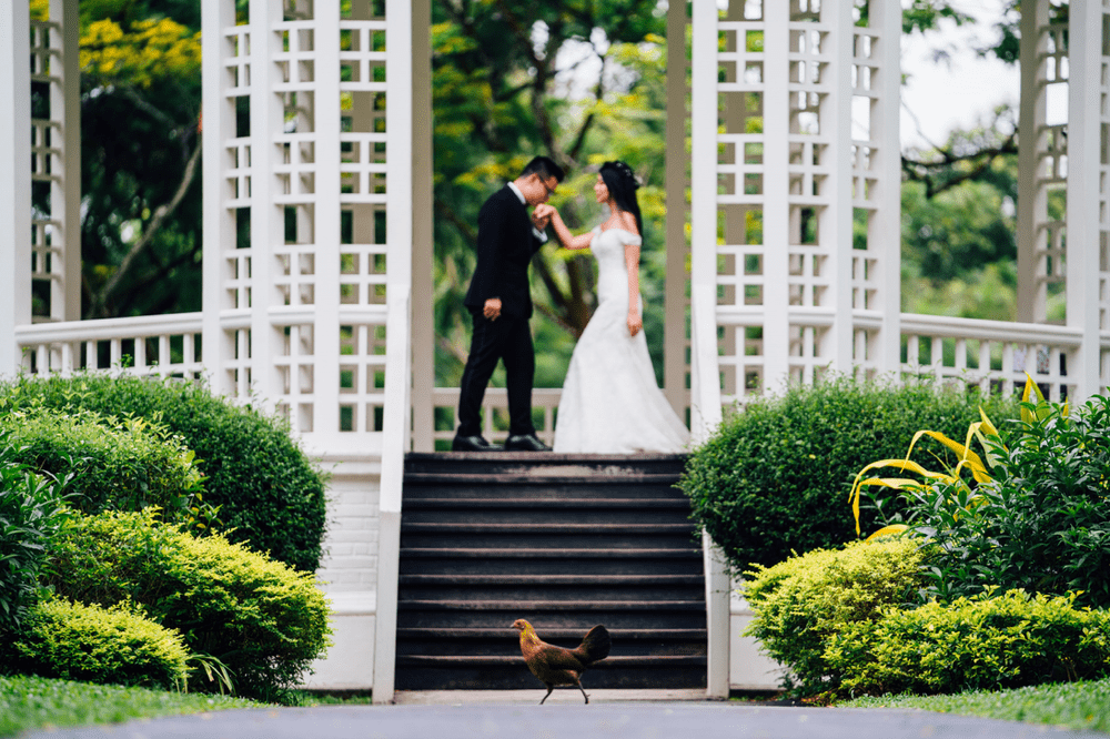 7 Captivating Pre-Wedding Photoshoot Venues in Singapore You Wished You ...