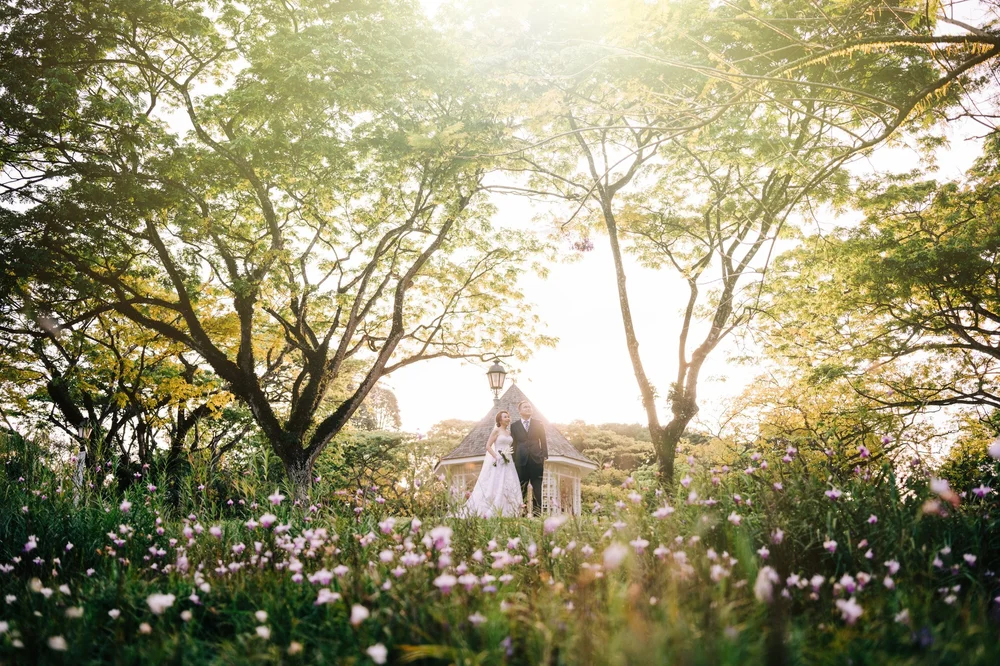 Top 5 Popular Outdoor Pre Wedding Photoshoot Locations In Singapore ...