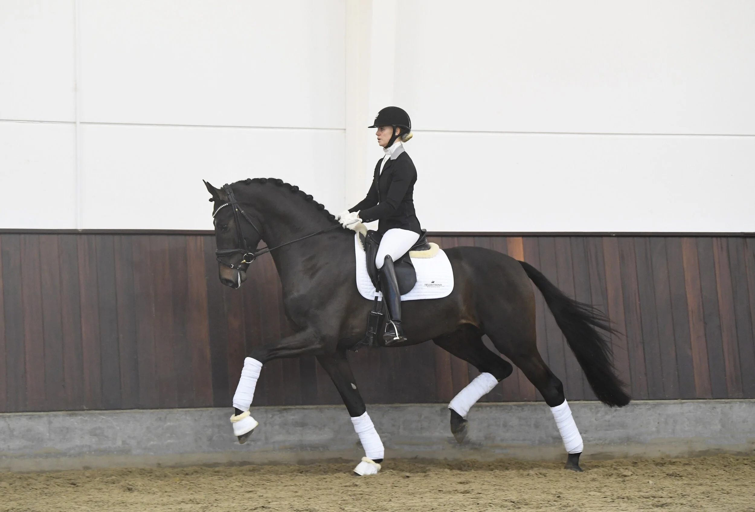 Presentation of 8 year old stallion Ferrari OLD from Helgstrand ...
