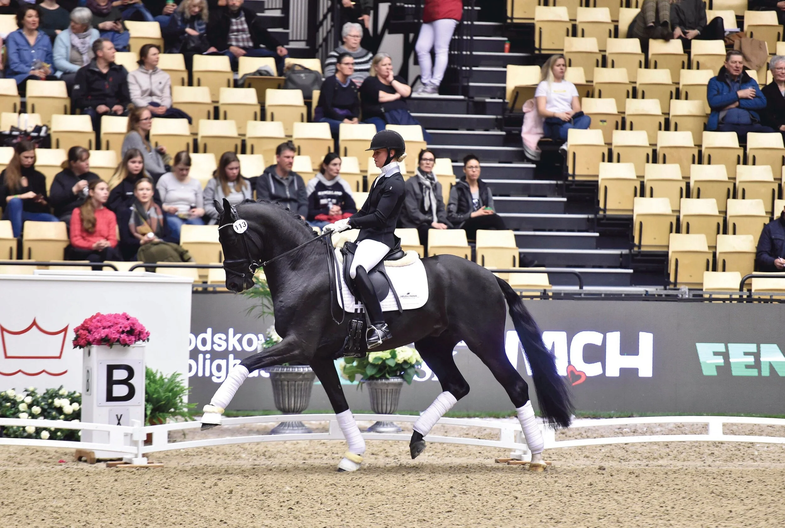 Presentation of 8 year old stallion Ferrari OLD from Helgstrand ...