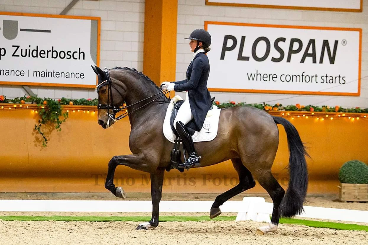 Match made in heaven - Mount St. John Freestyle and Cathrine Laudrup ...
