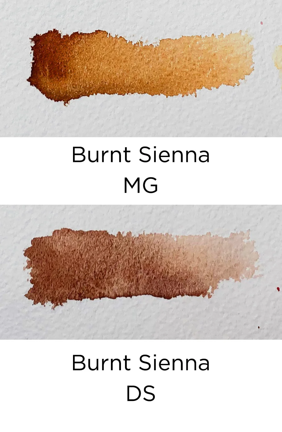 Mijello Mission Gold Watercolors Review, and my painting with it — Café ...
