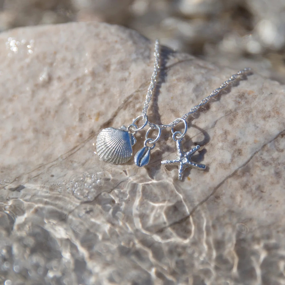 Sea Shells — Silver May