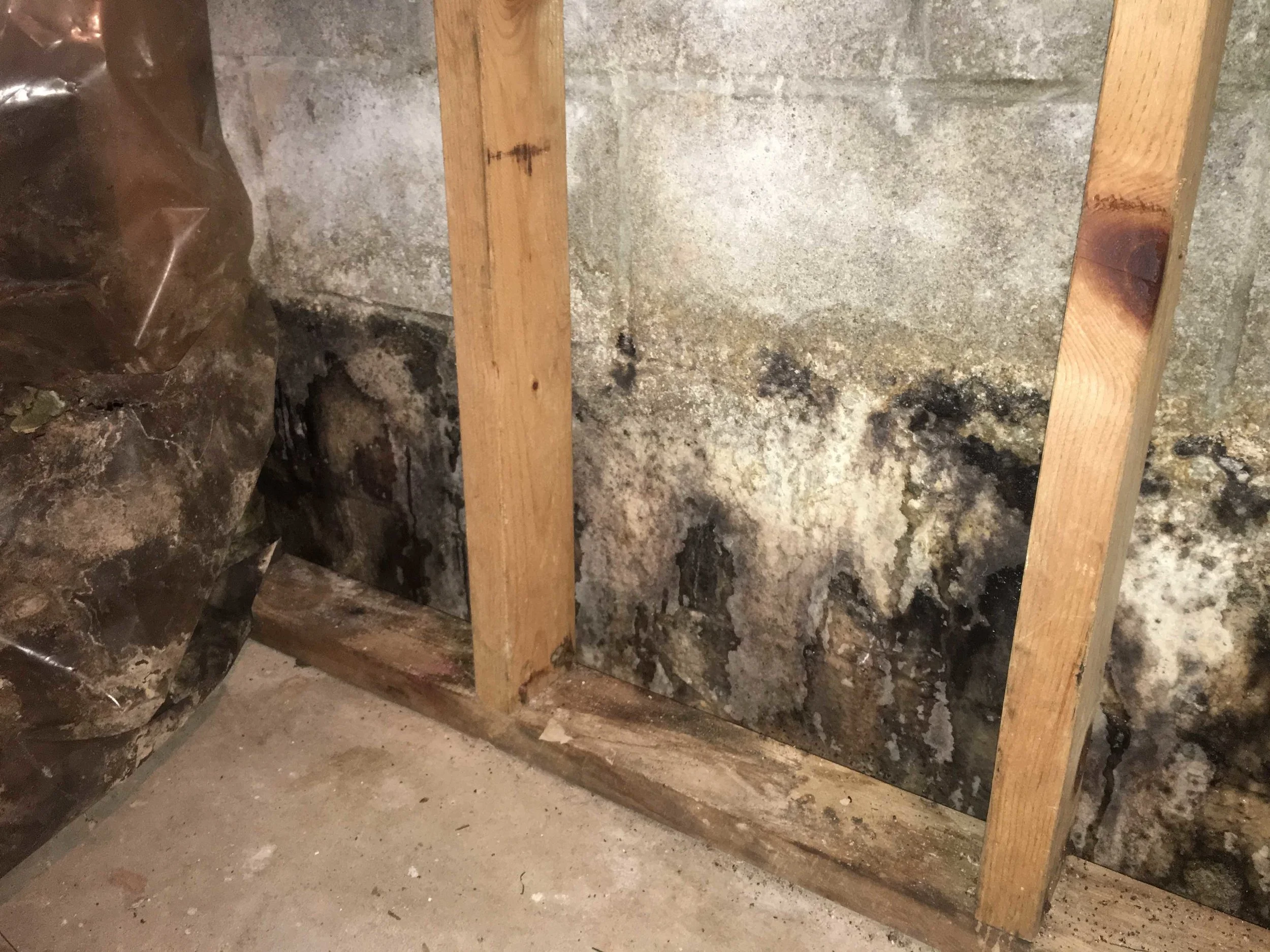 Smelly Basement? Odor Isn’t Your Only Problem — O'Donnell Bros Inc.