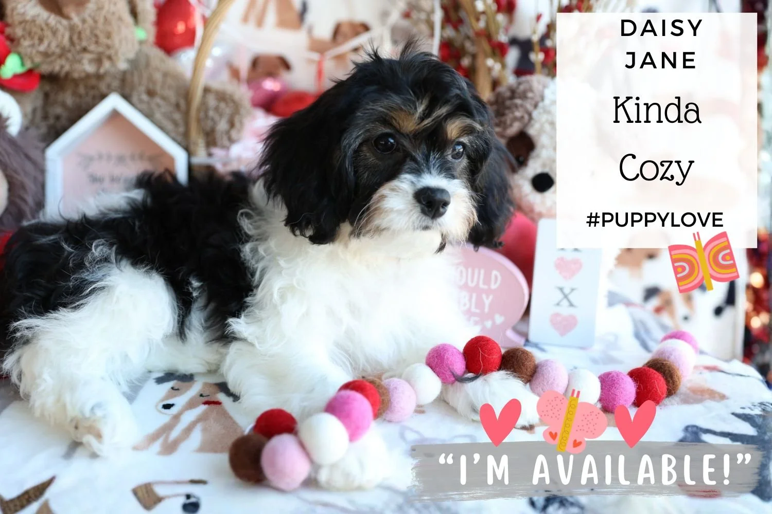 Foxglove Farm Daisy Jane "I'm Available!"