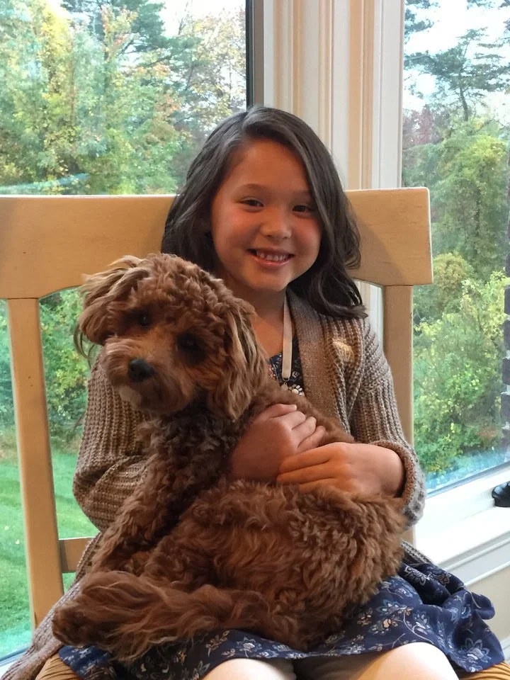 At What Age Is A Cavapoo Fully Grown