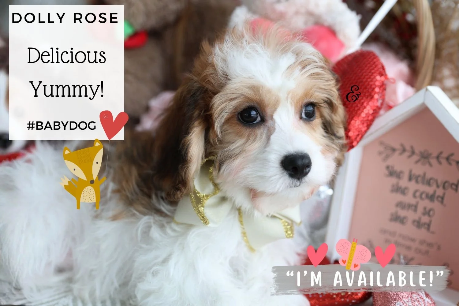 Foxglove Farm Dolly Rose "I'm Available!"