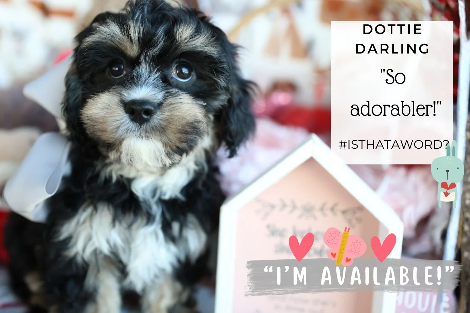 Foxglove Farm Dottie Darling "I'm Available!"