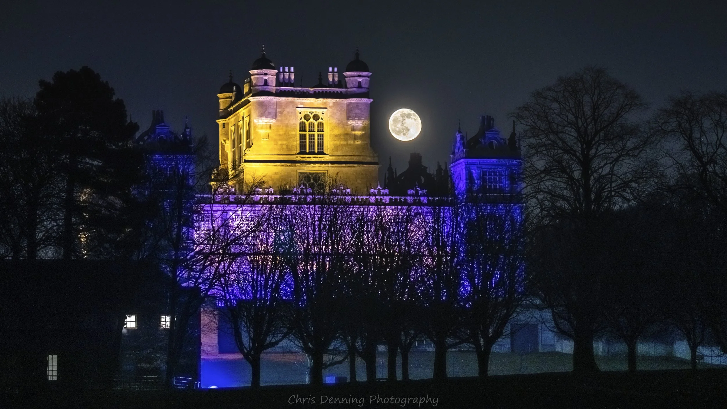 Wollaton Hall & Deer Park — Chris Denning Photography