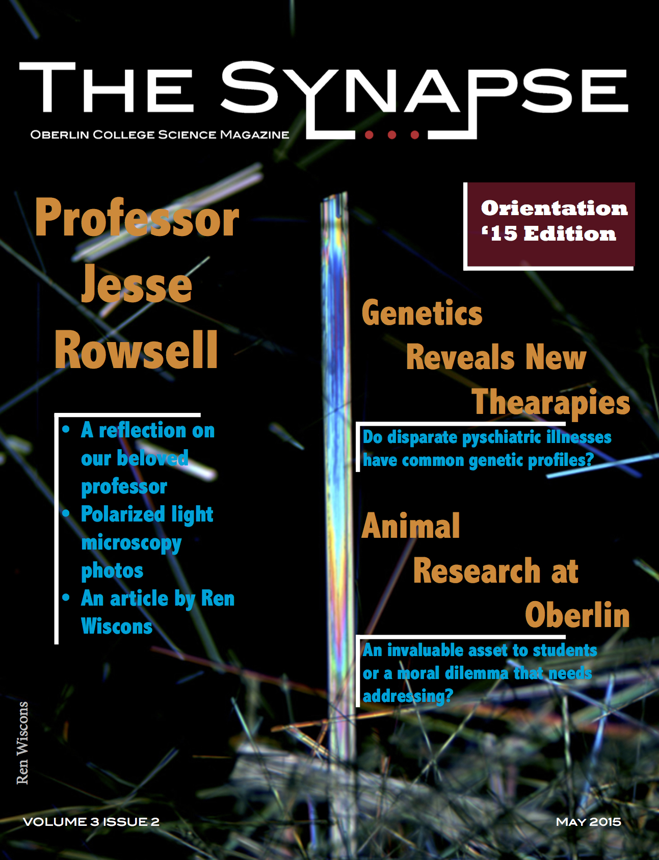 Archive — The Synapse