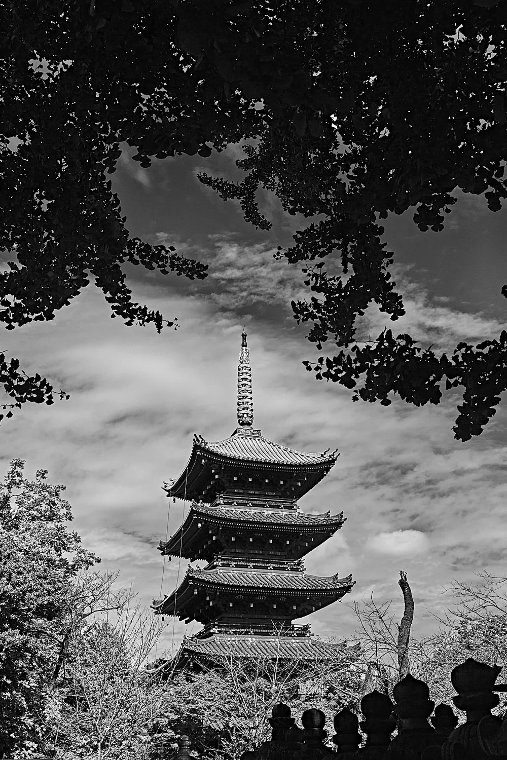 peek into a day in Tokyo in black & white! — Black Bear Brand