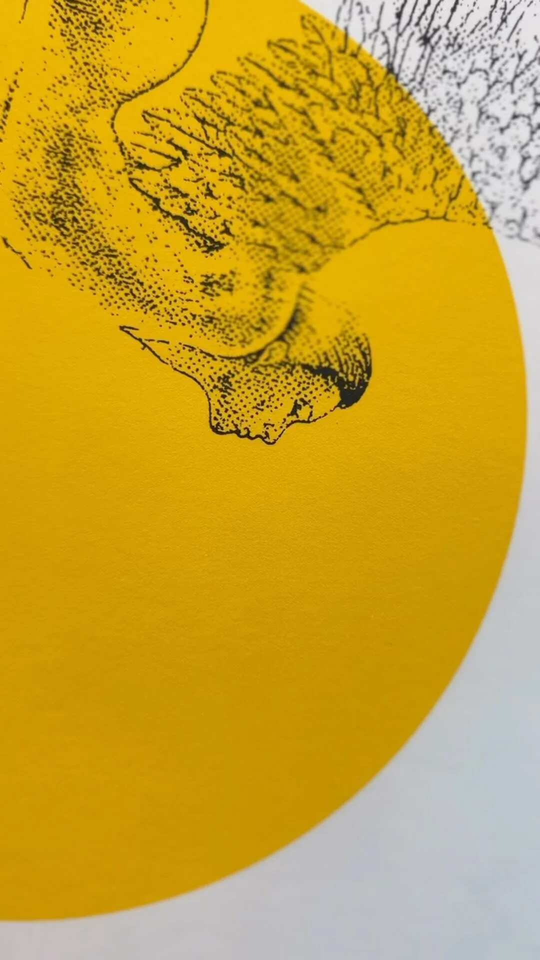 Material Spotlight: Watershed Block from Rammed Earth — suzannezahr.com