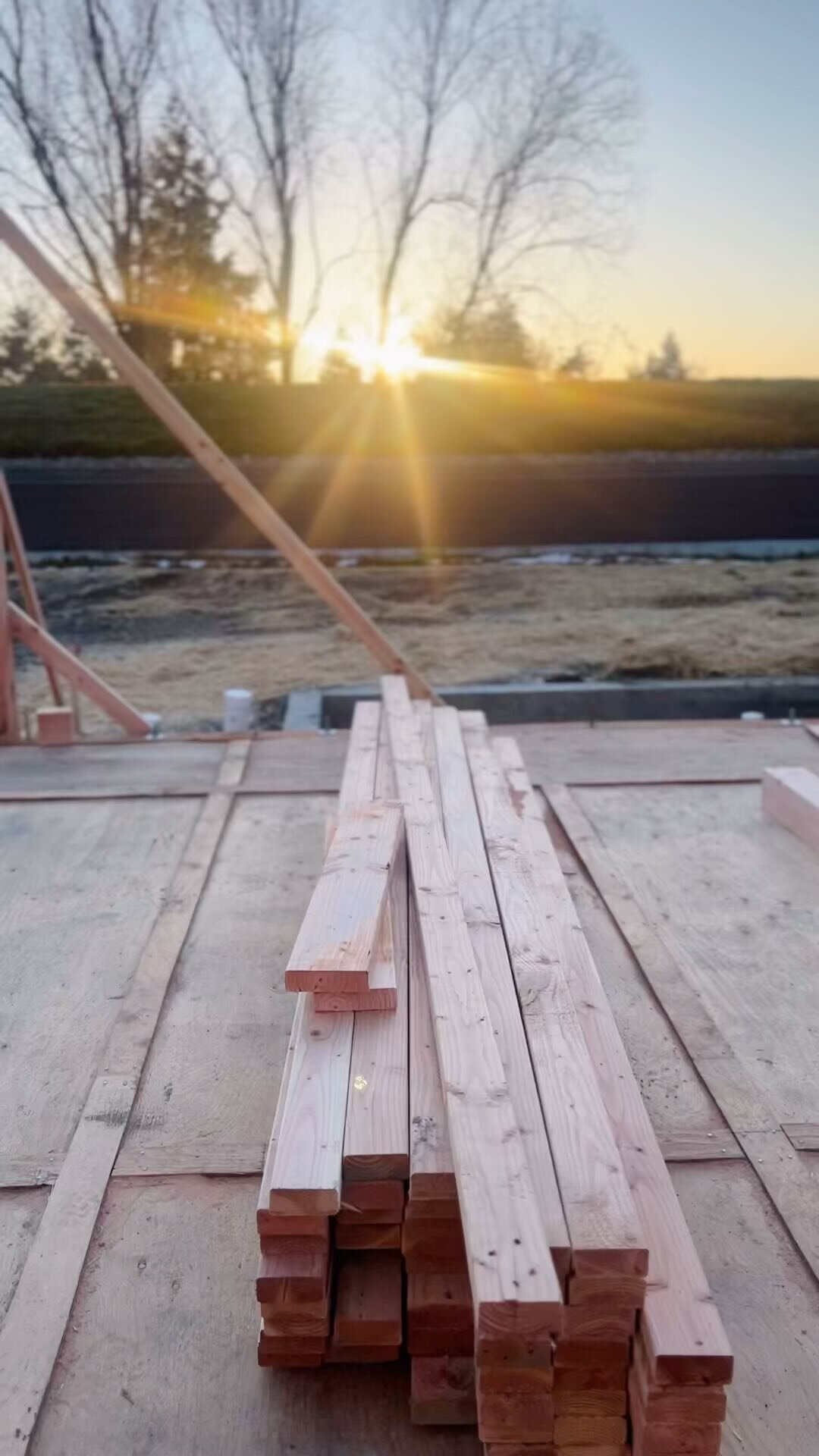 Interview with Susan Jones - [Architect & Author of MASS TIMBER: DESIGN ...