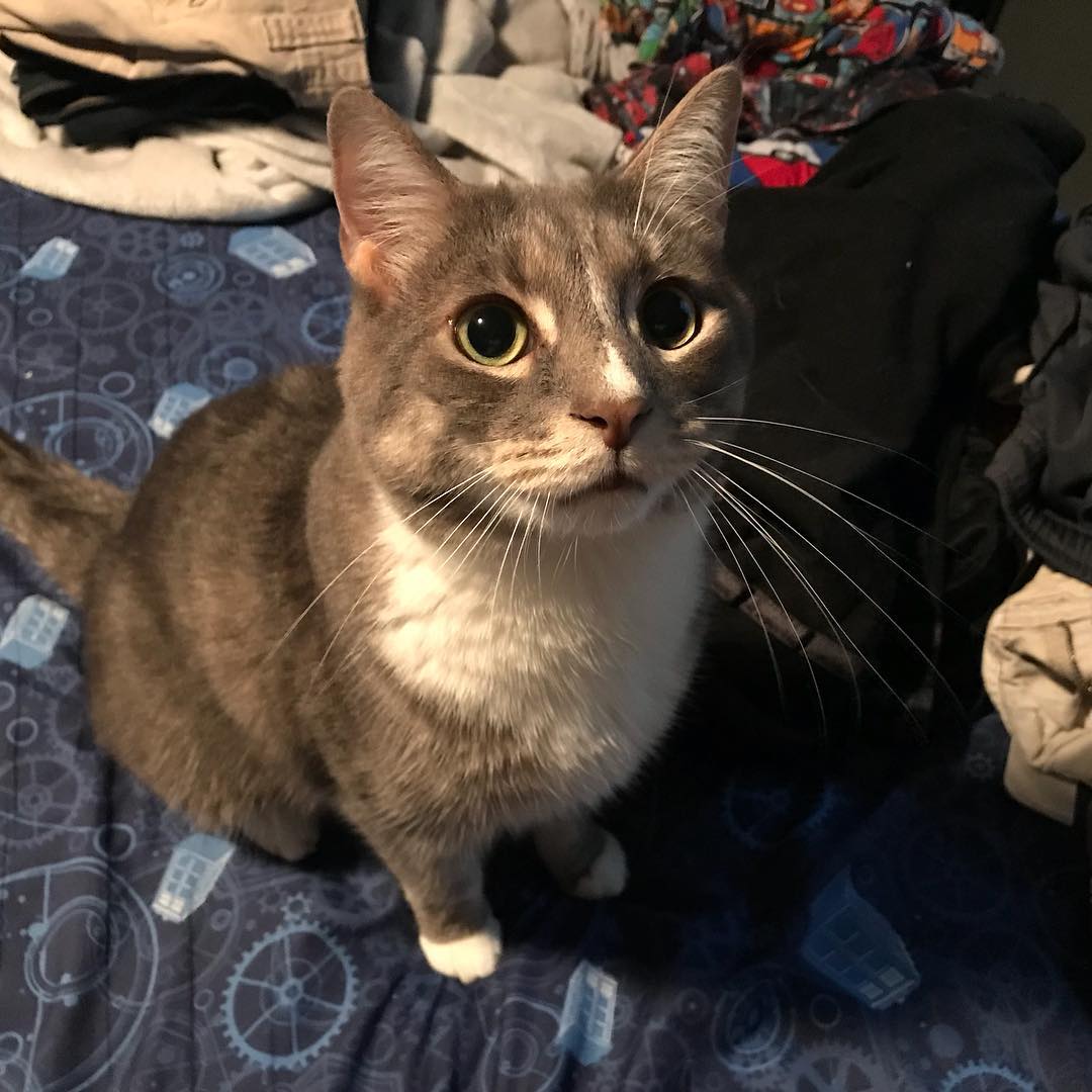 Who are we? — Boards & Swords