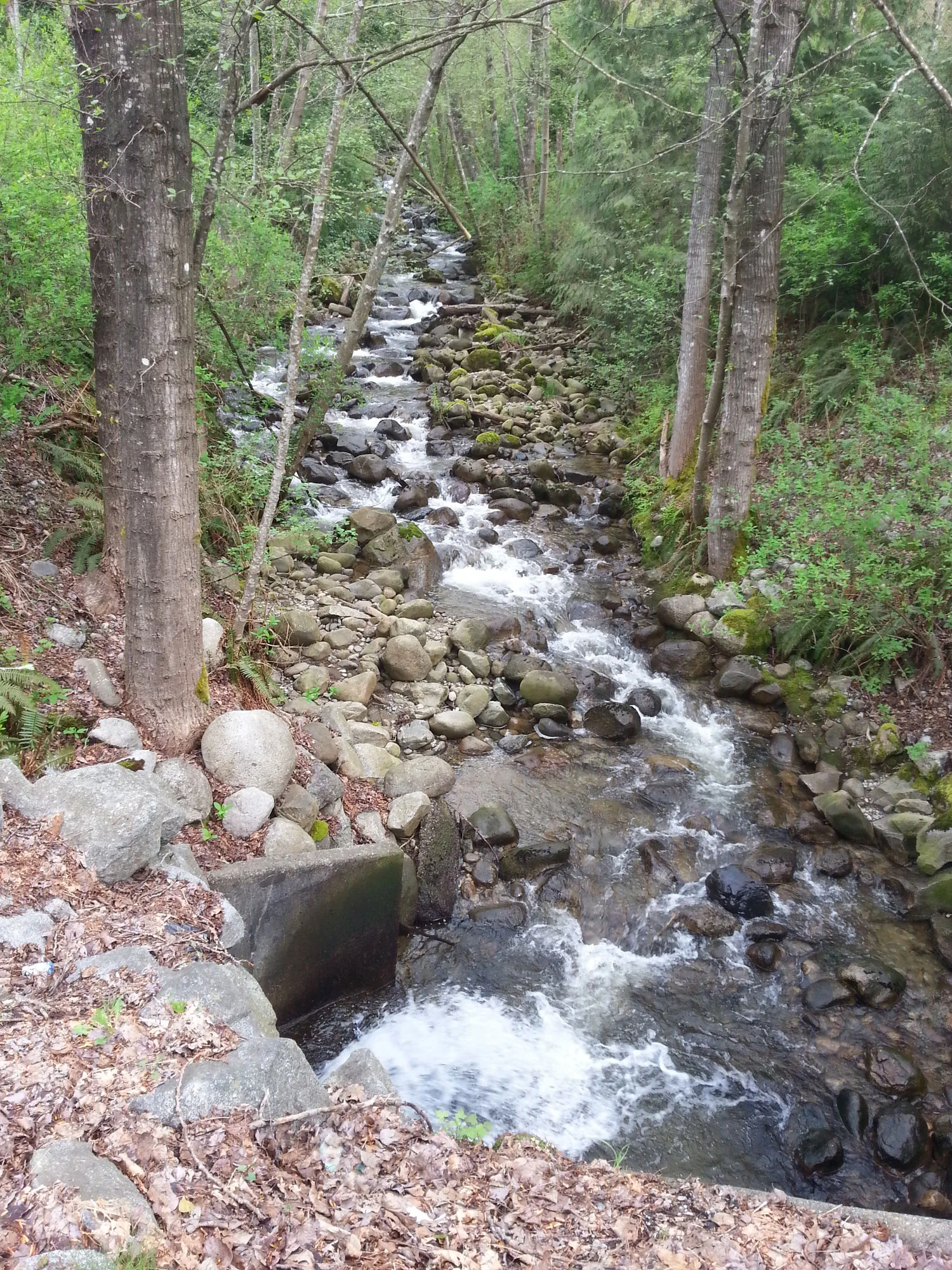 Hoy & Scott Creeks — Hoy-Scott Watershed Society