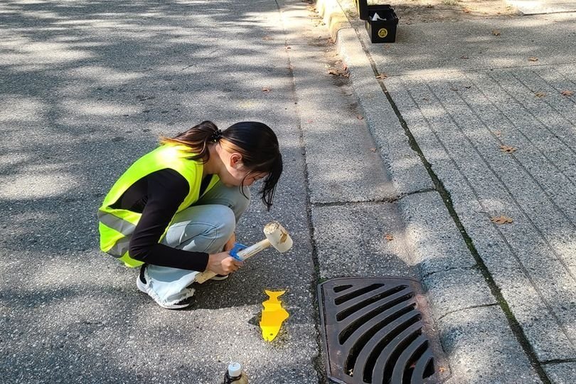 Storm Drains Marked before Salmon Return — Hoy-Scott Watershed Society