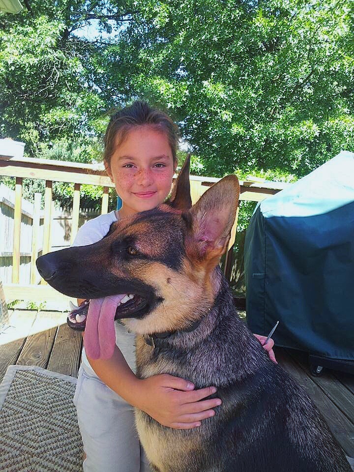 News — Mid-Atlantic K9 Services & Tack