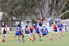 Shepp United FNC