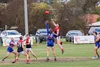 Shepp United FNC