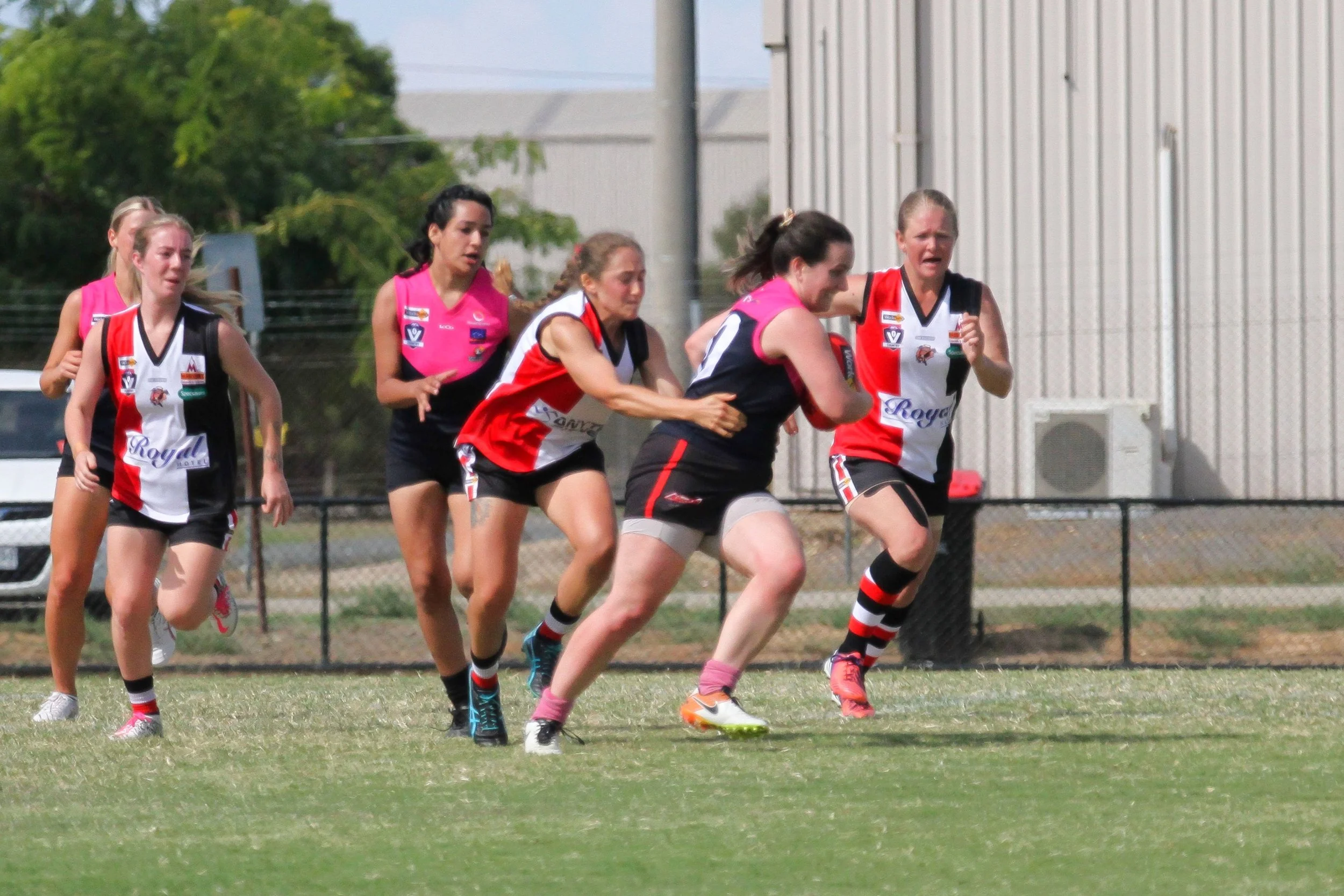 Shepp United FNC