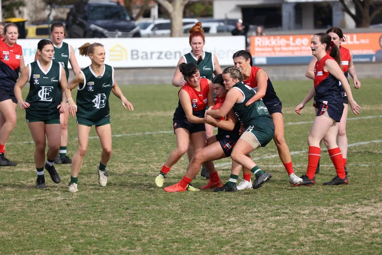 Shepp United FNC