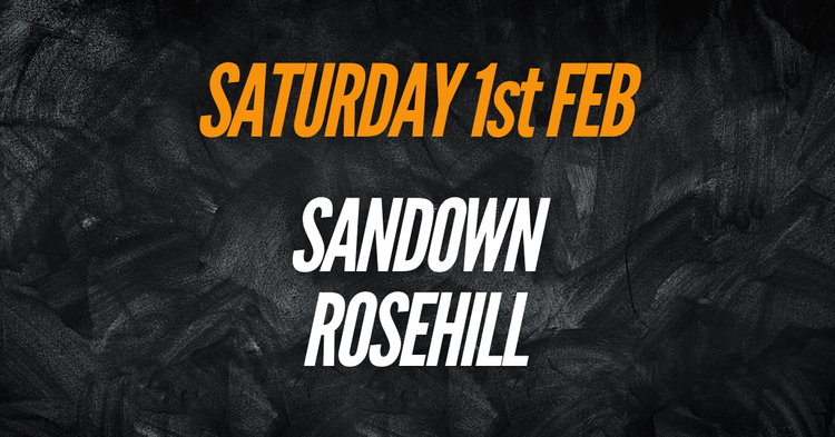 Free Saturday Horse Racing Tips | Punt Hub