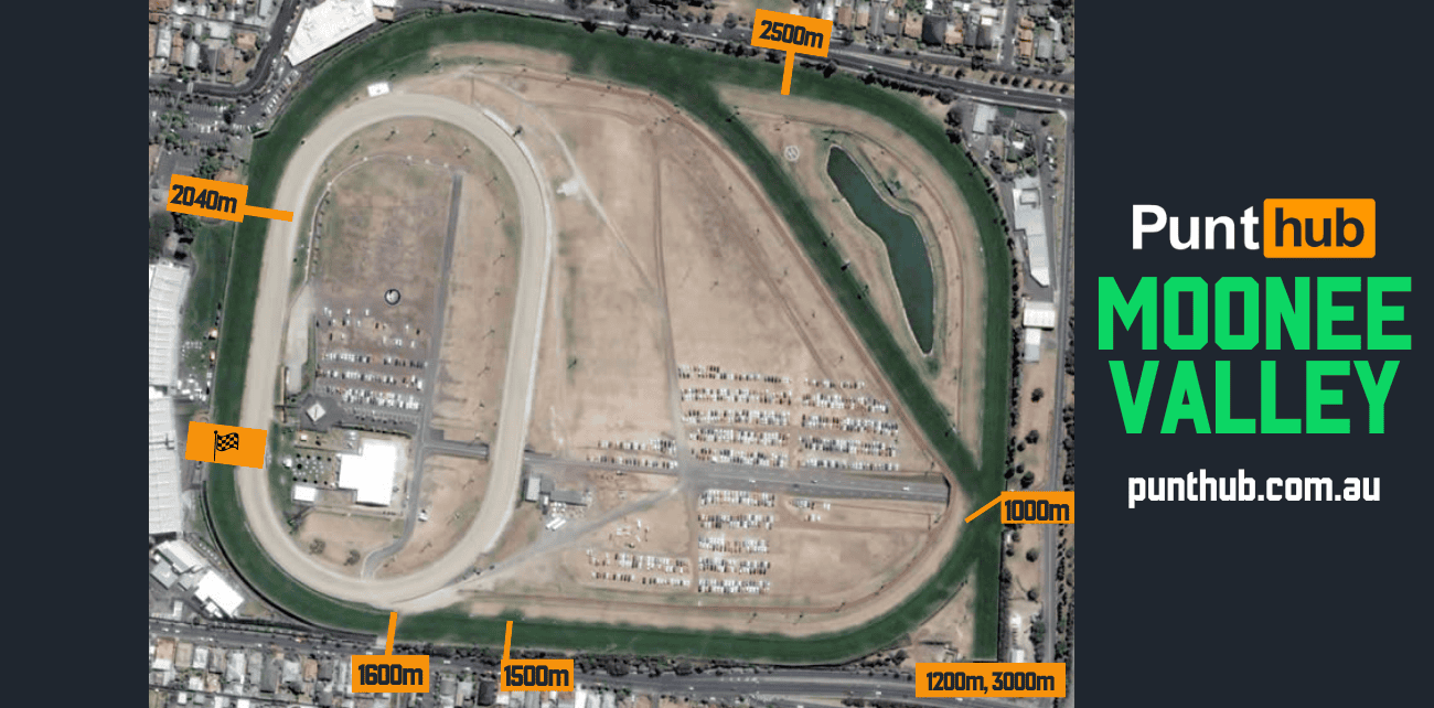 Punt Hub - Moonee Valley Insights & Best Bets - Friday Feb 7