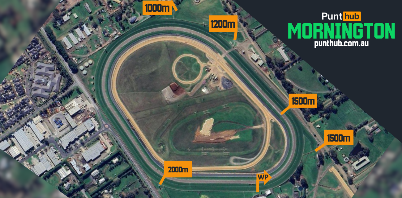 Punt Hub - Randwick And Mornington - Best Racing Tips