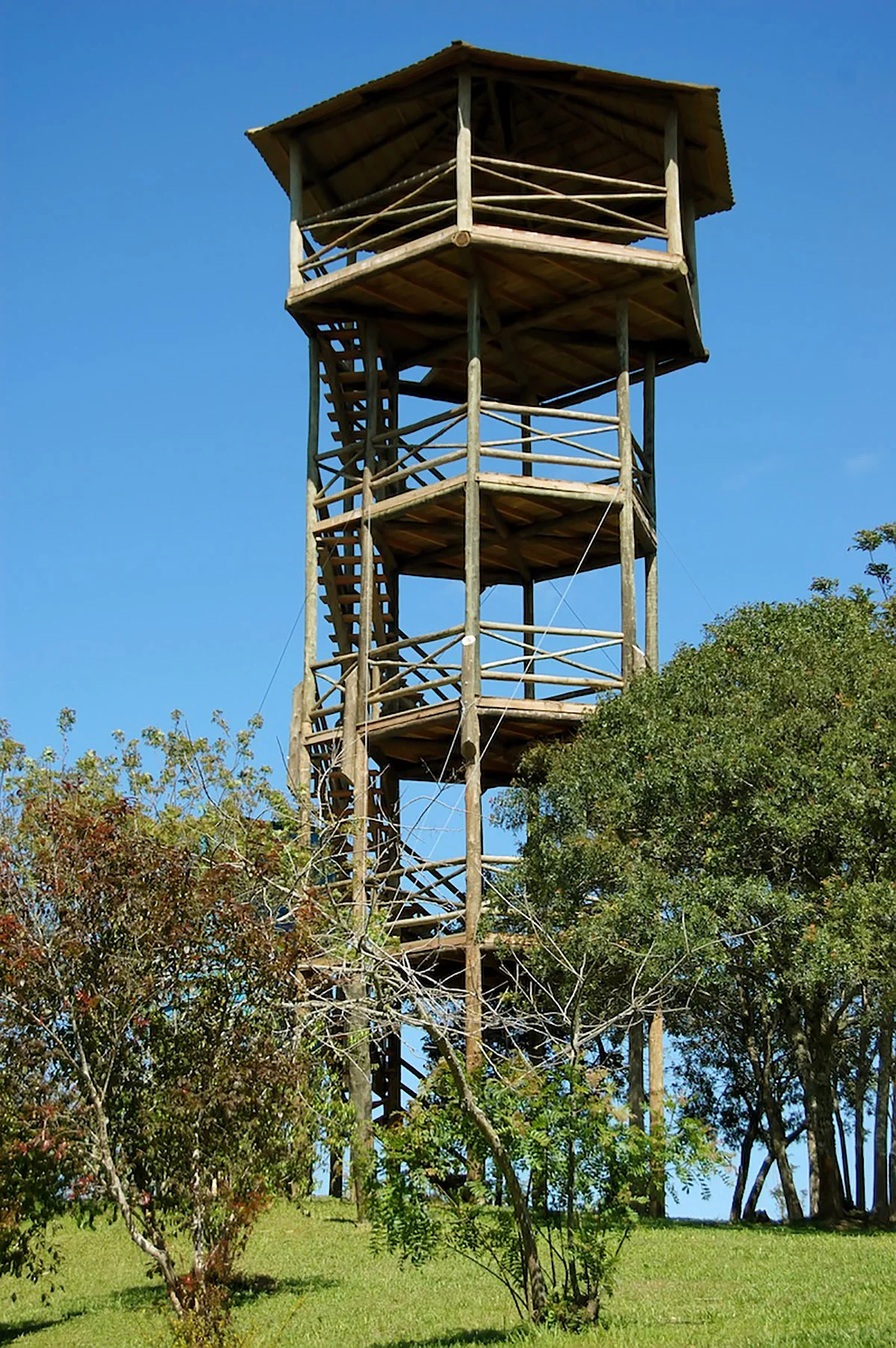 Mirante — Arte Eucalipto