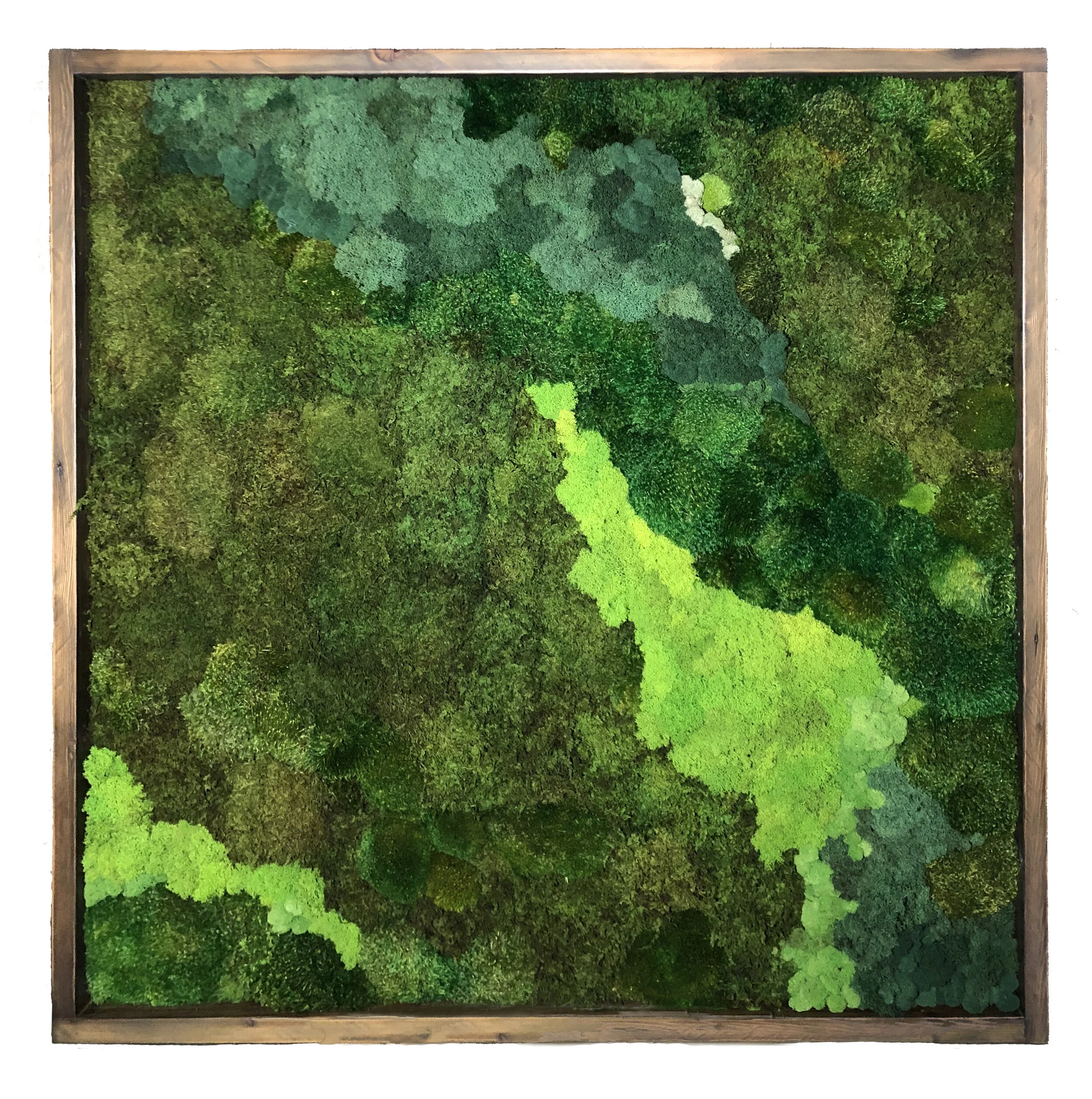moss art — floraform design