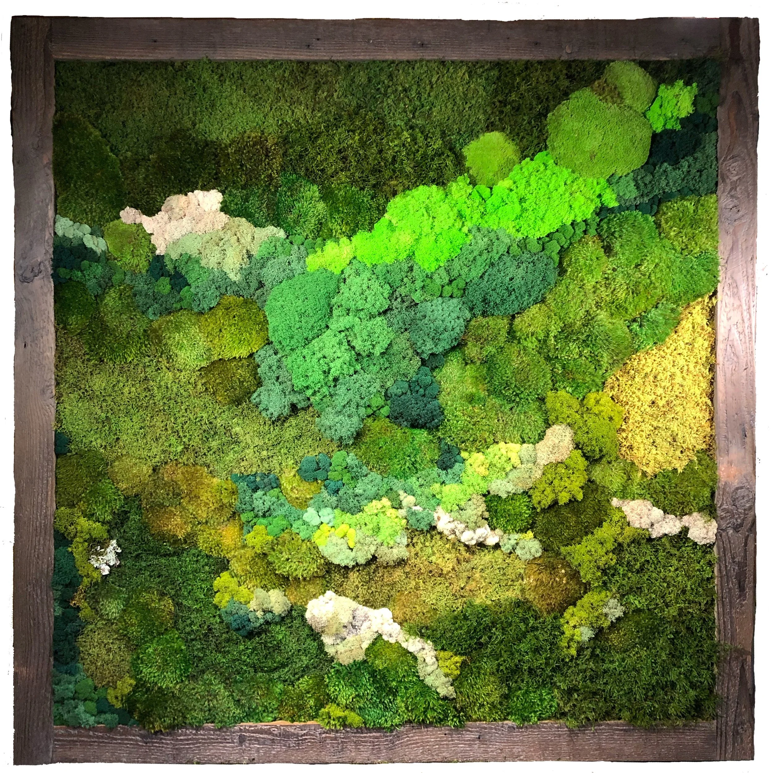 moss art — floraform design