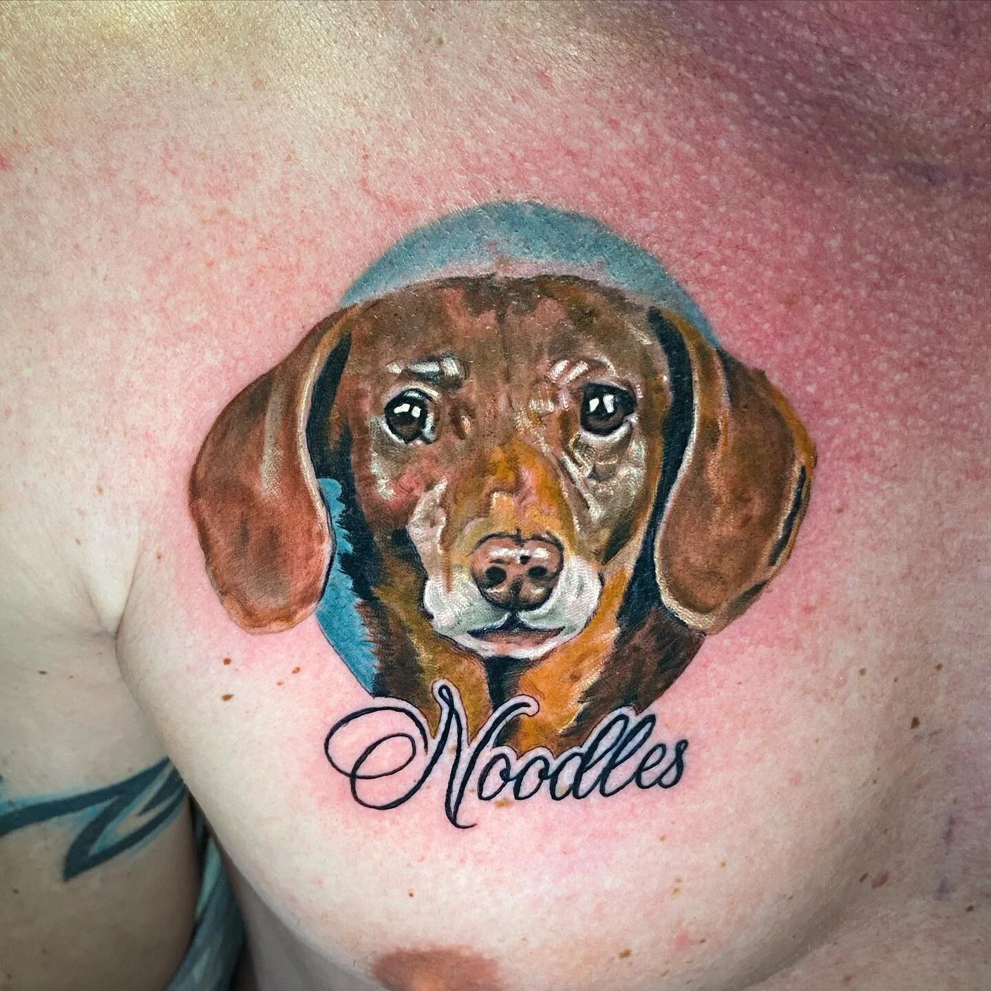 Dan Curatolo — Boundless Tattoo Co.