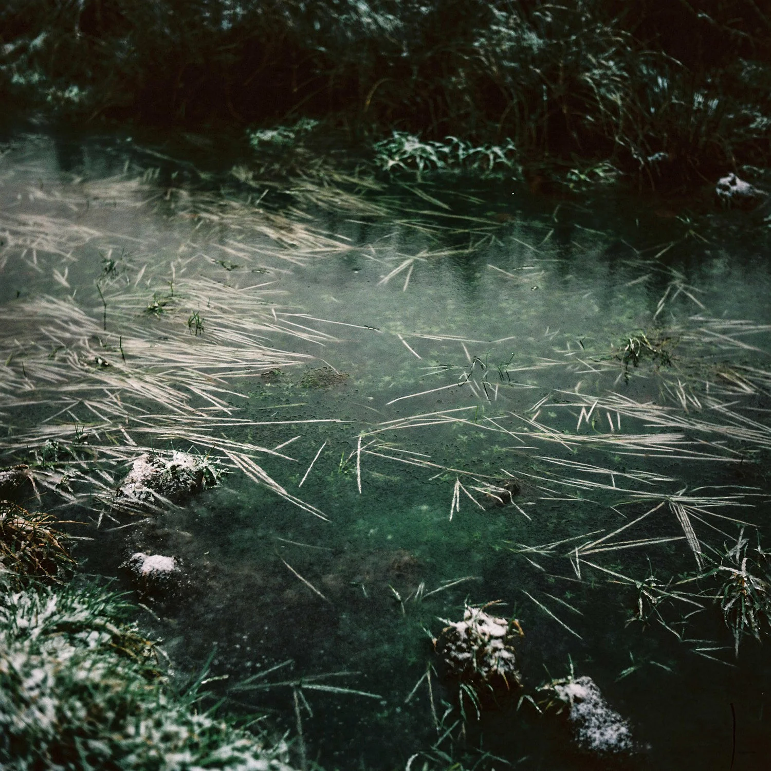 Overview | Joanne Coates Visual Artist — Joanne Coates