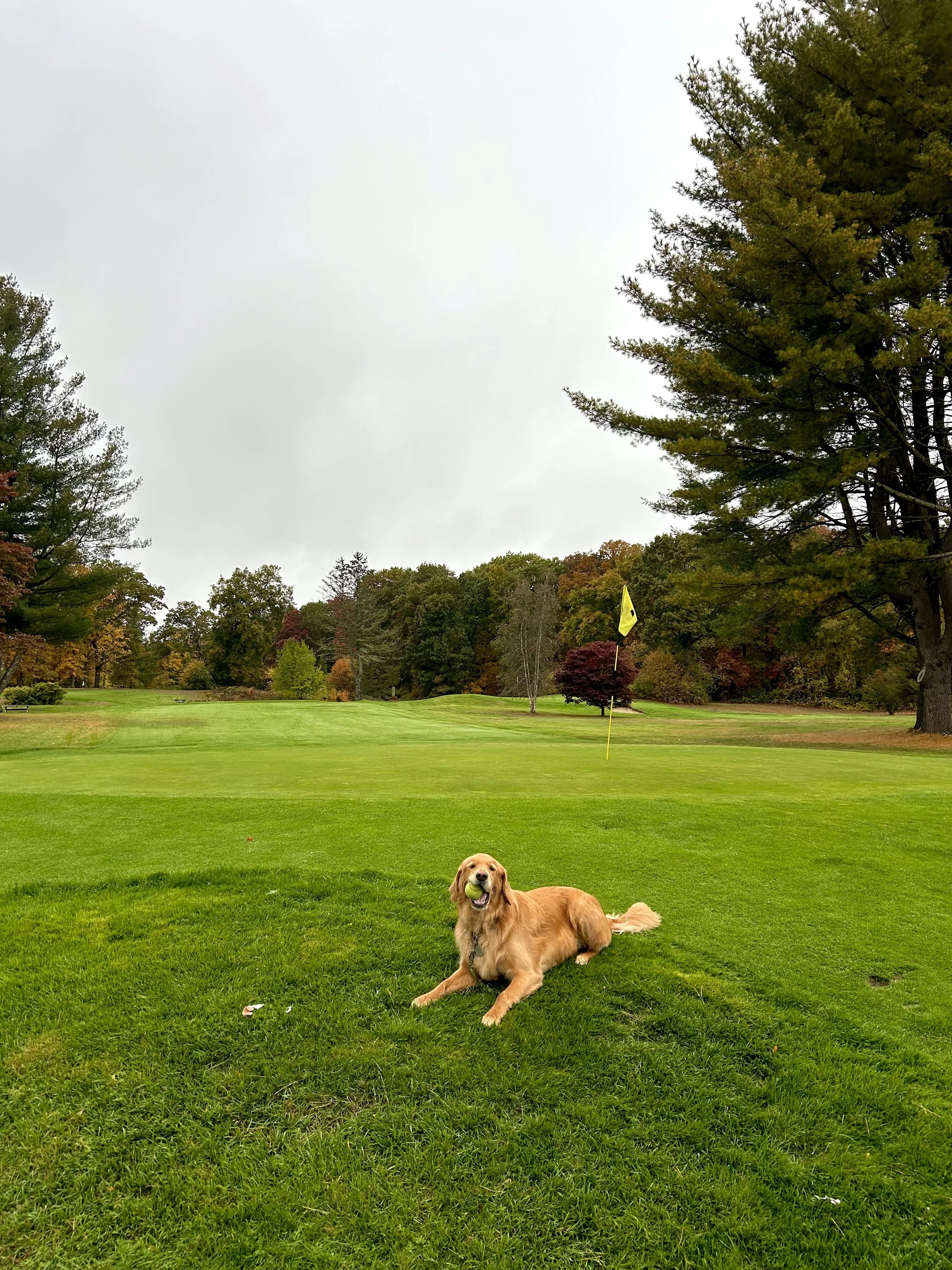 Par 3 Course, Driving Range, & Putting Green — Murphy's Garrison Golf ...