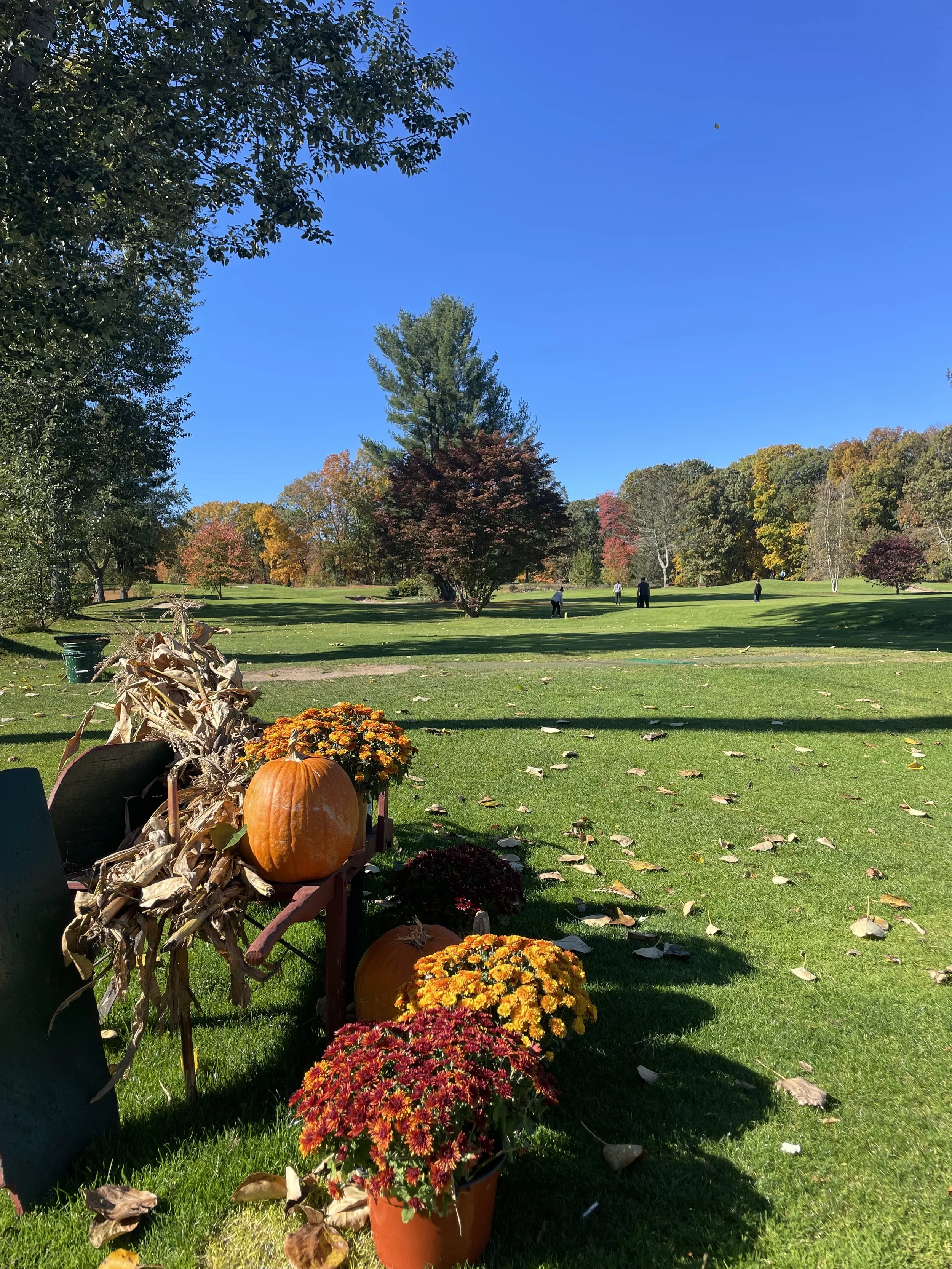 Par 3 Course, Driving Range, & Putting Green — Murphy's Garrison Golf ...