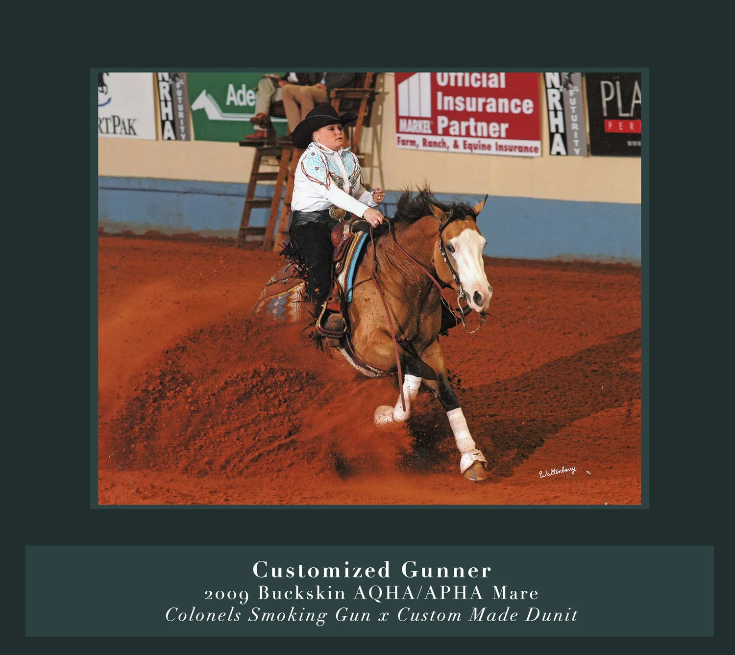 Broodmares — McQuay Stables