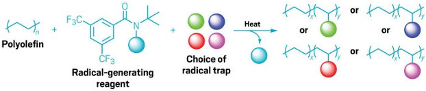 The Leibfarth Group @ UNC