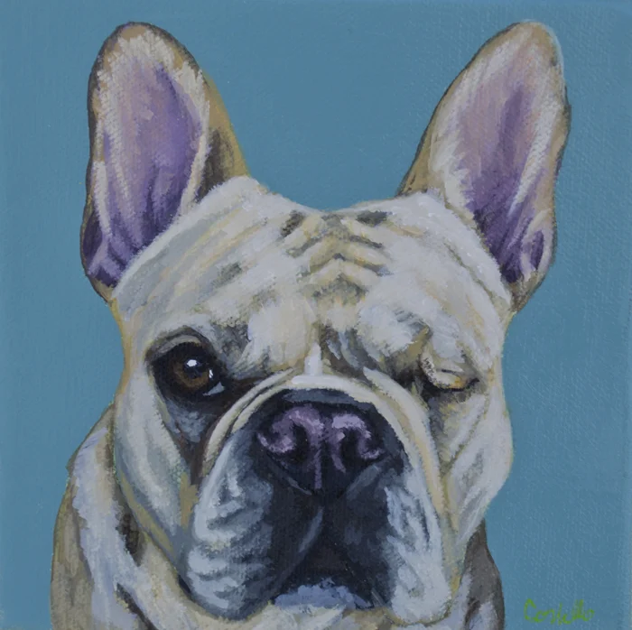 Frank — Ashley Corbello Art - Kansas City Pet Portrait Paintings