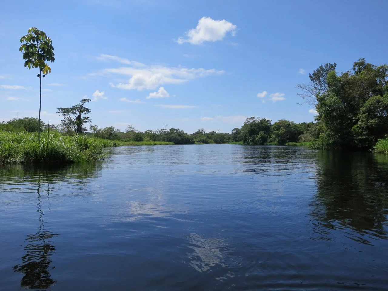 NEWS — Cofan Survival Fund