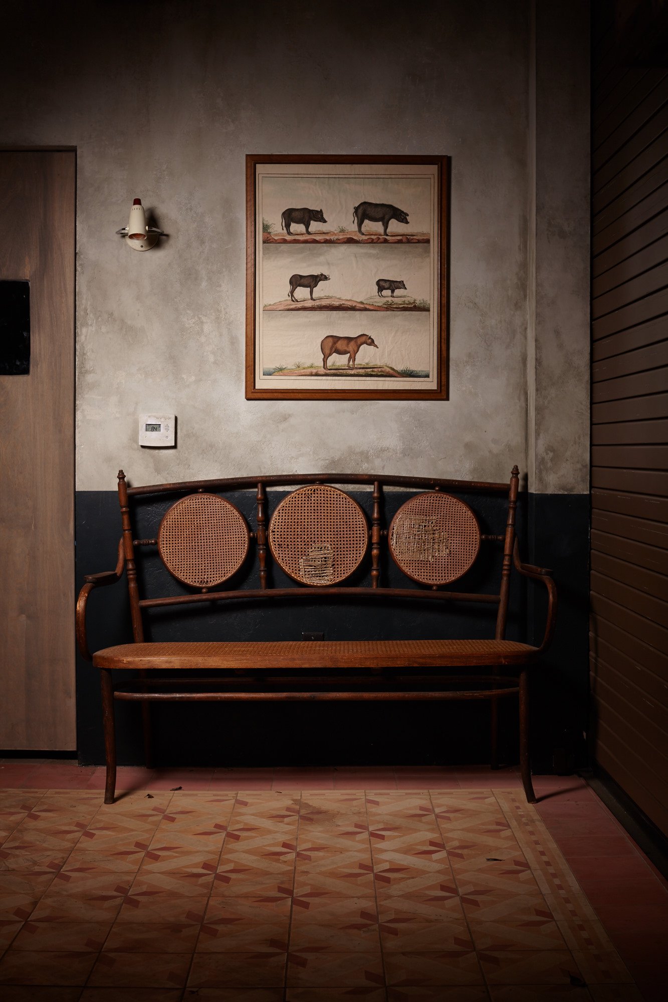 Tenants of the Trees — Jared Frank Studio