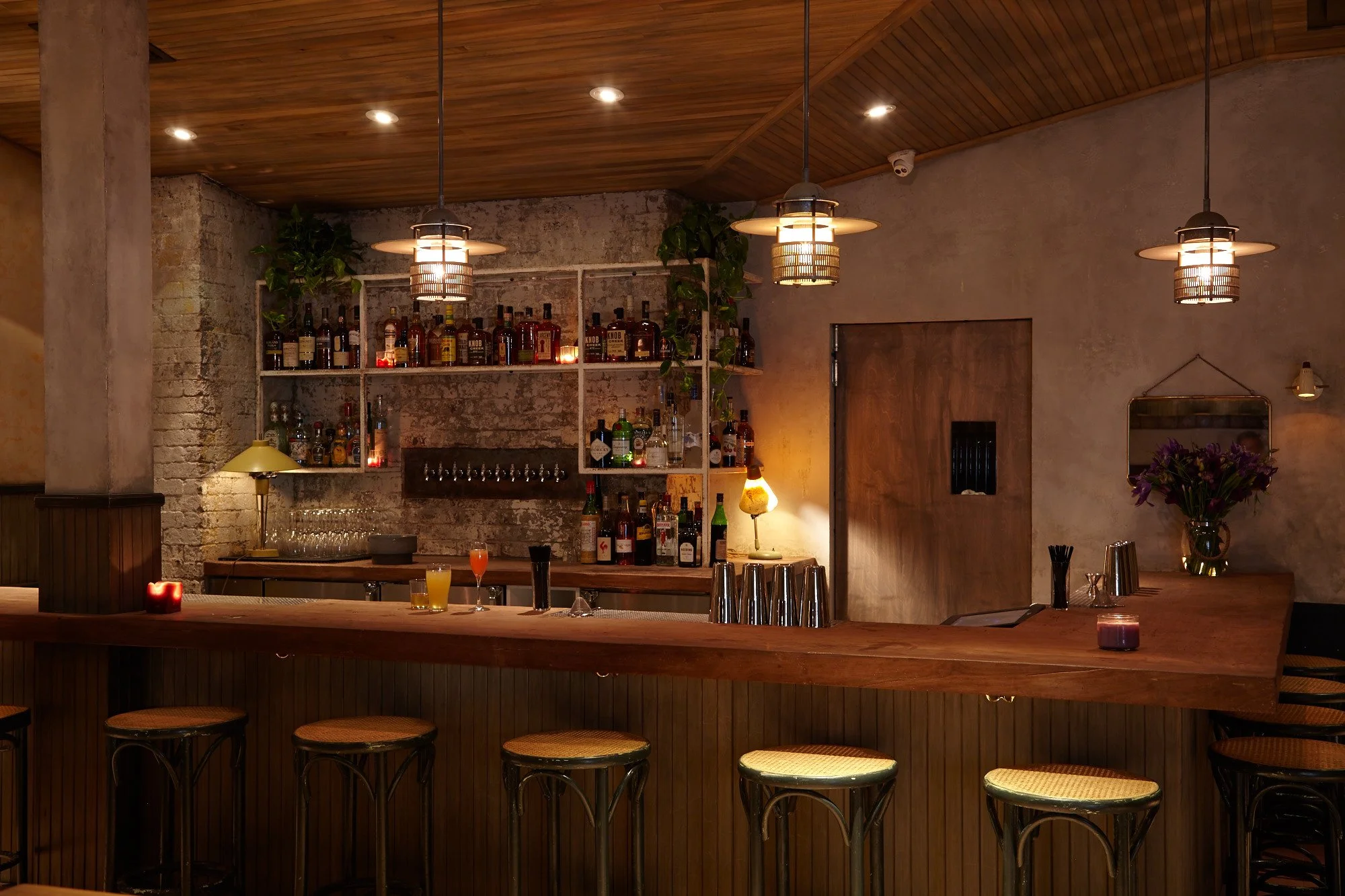 Tenants of the Trees — Jared Frank Studio