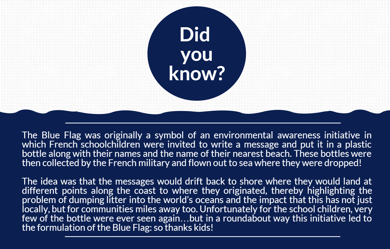 Our Programme — Blue Flag