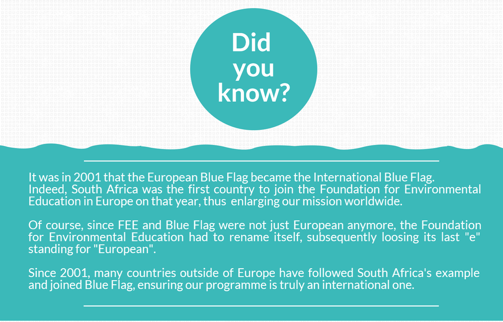 Our History — Blue Flag