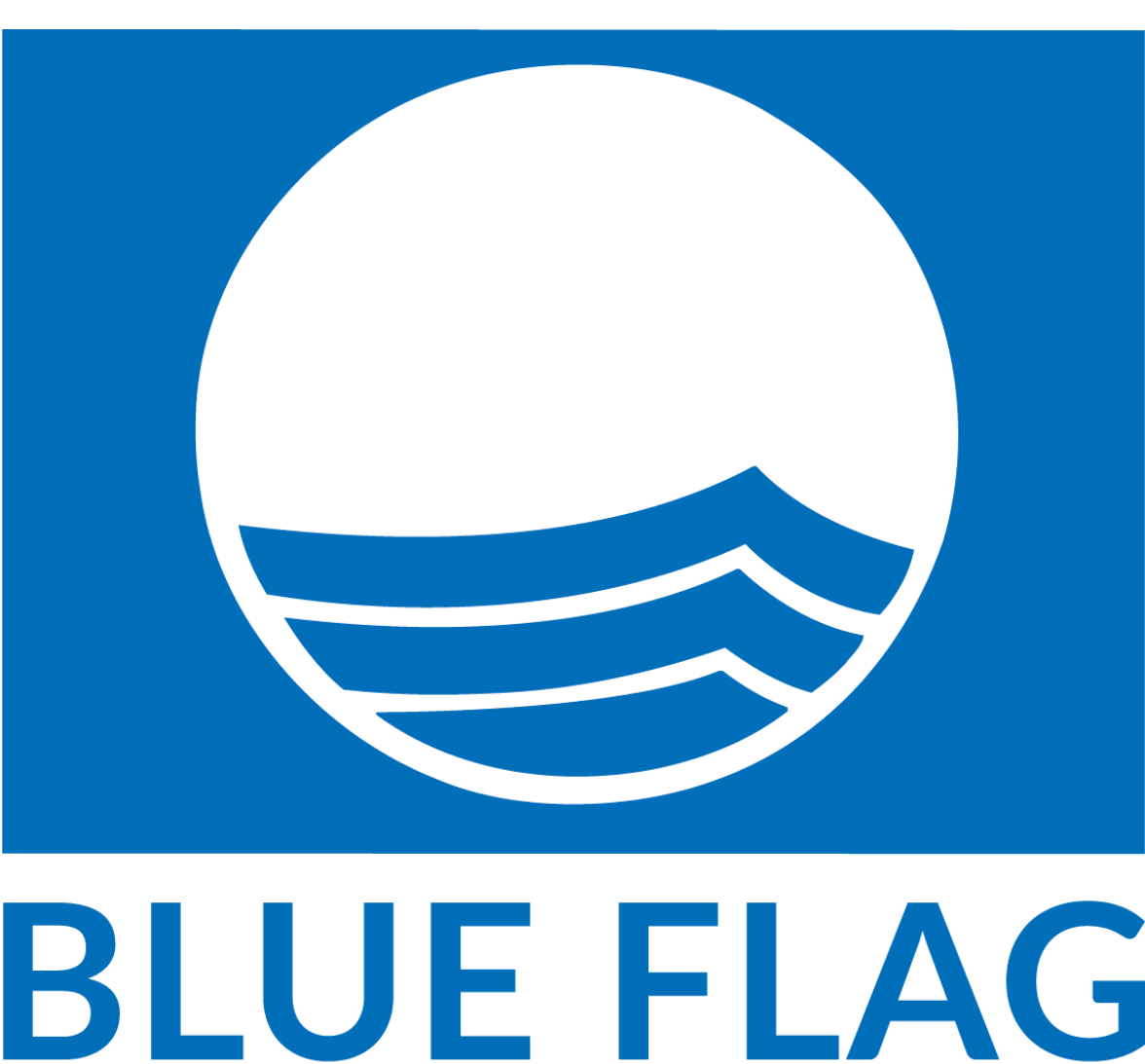 Our History — Blue Flag