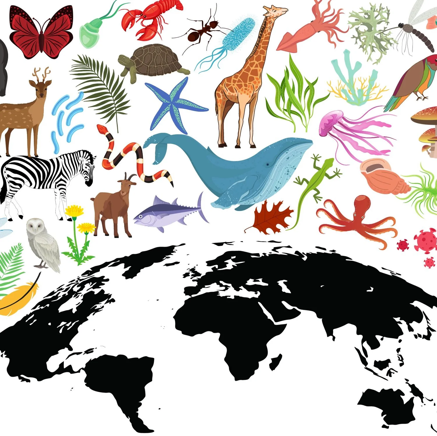 Courses on FEE Academy — Blue Flag