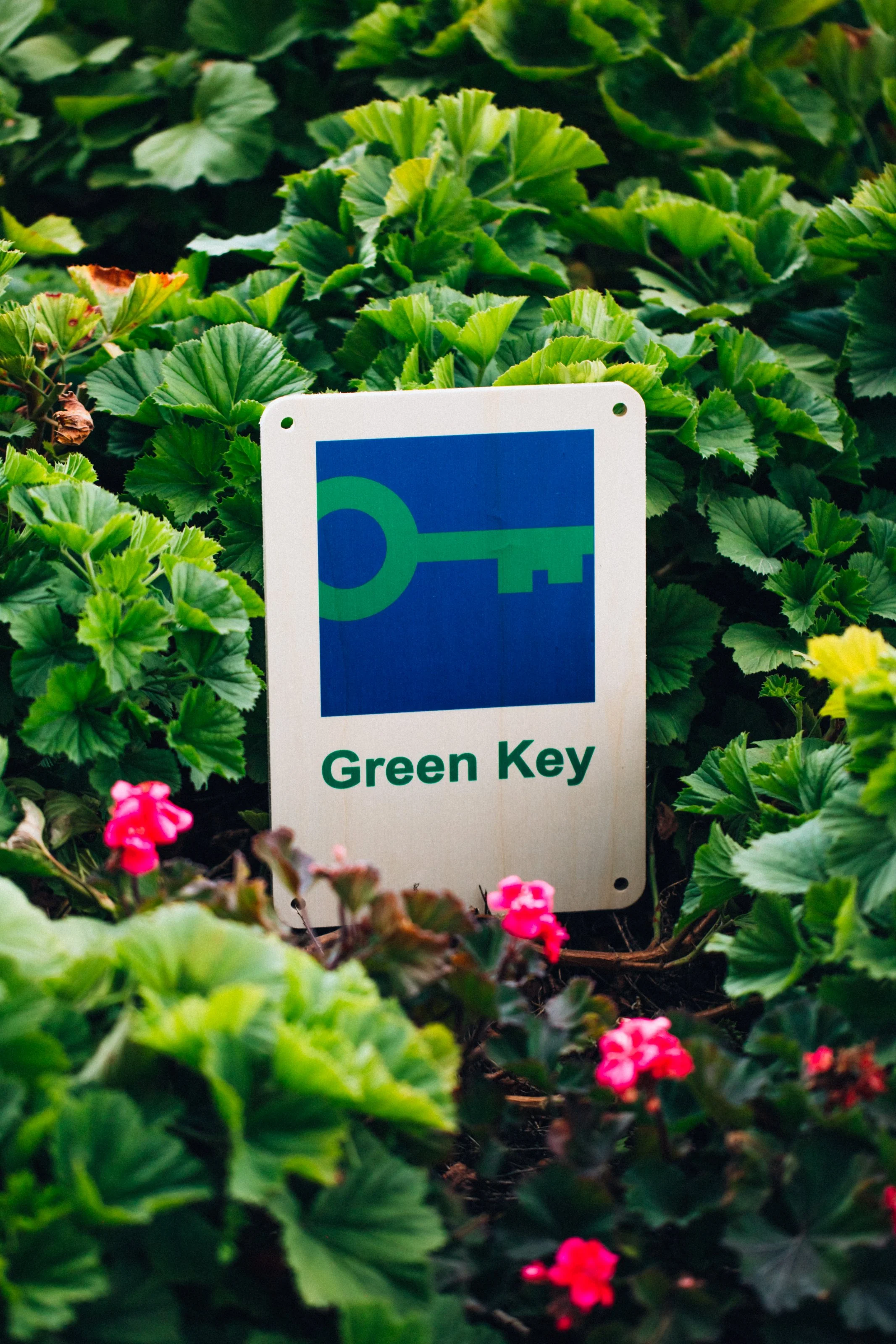 Green Key — First Green Key certification in Azerbaijan with JW ...