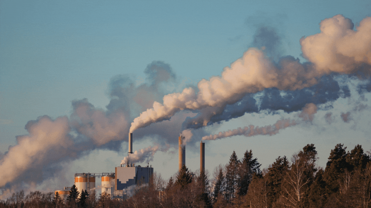 Green Key — Reducing Environmental Pollution | 2023