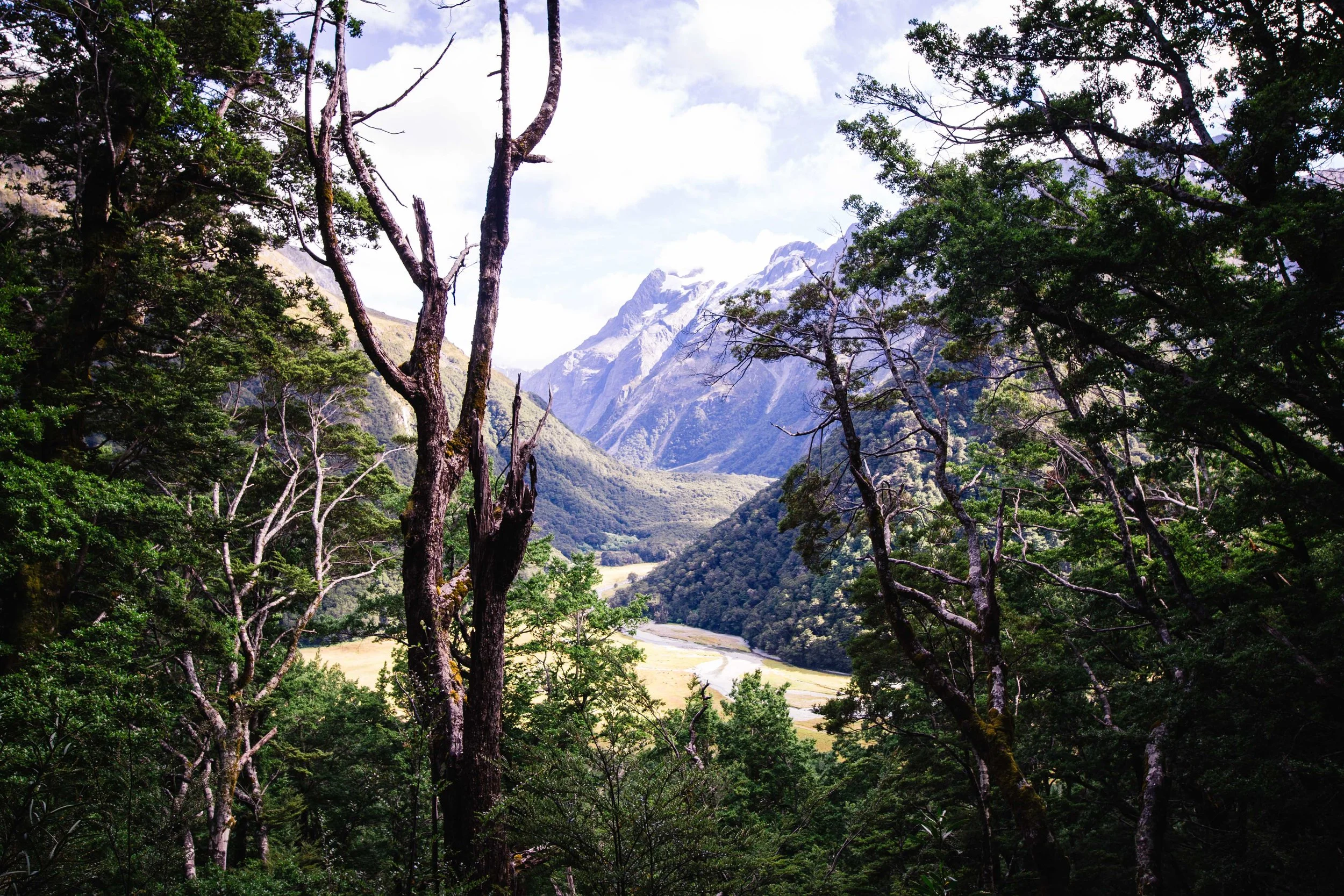 Landscape — DANNY ROOD