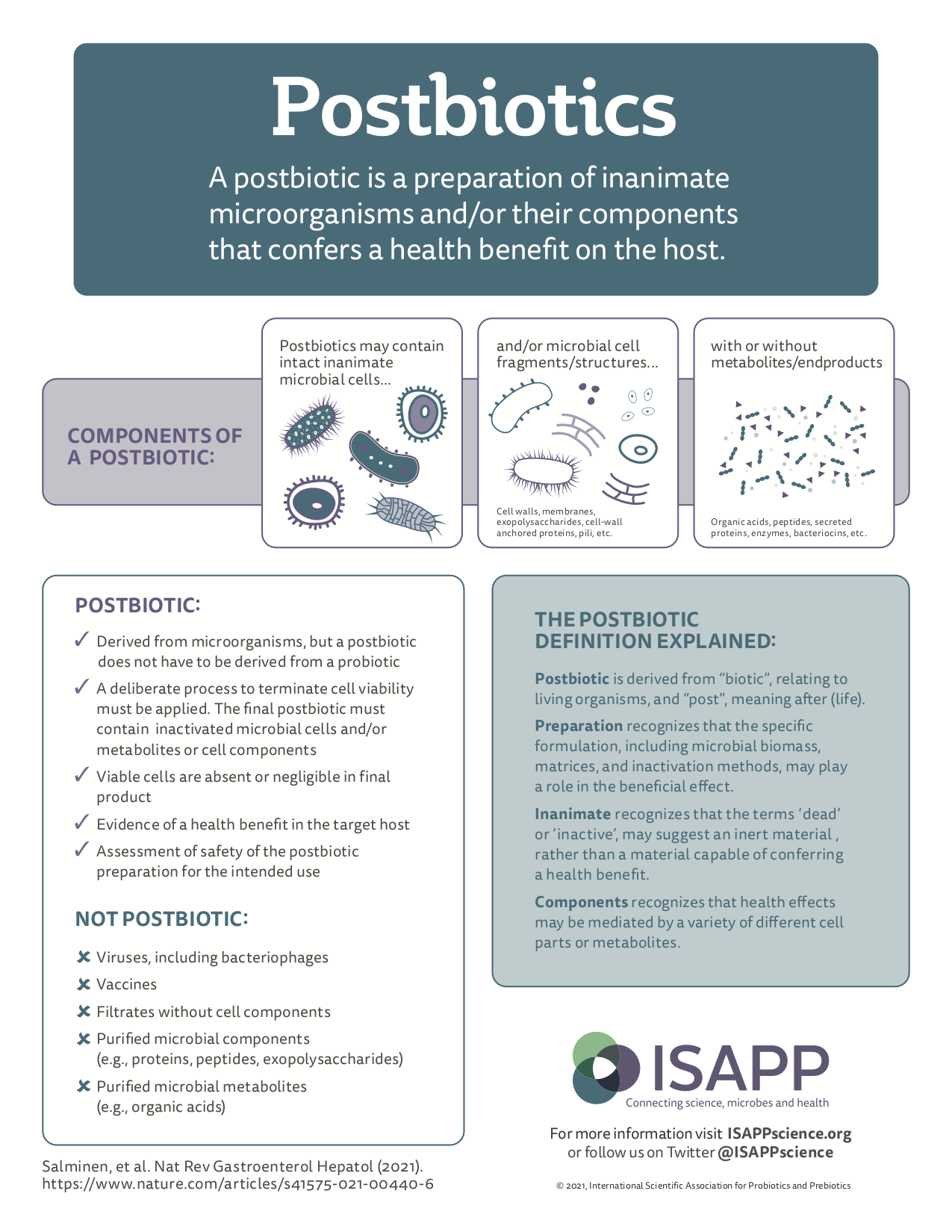 Postbiotics The New Generation Probiotics — London's Advanced Nutrition ...