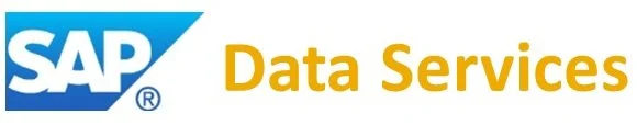 Efficient master data migration in SAP S/4HANA - Avelon